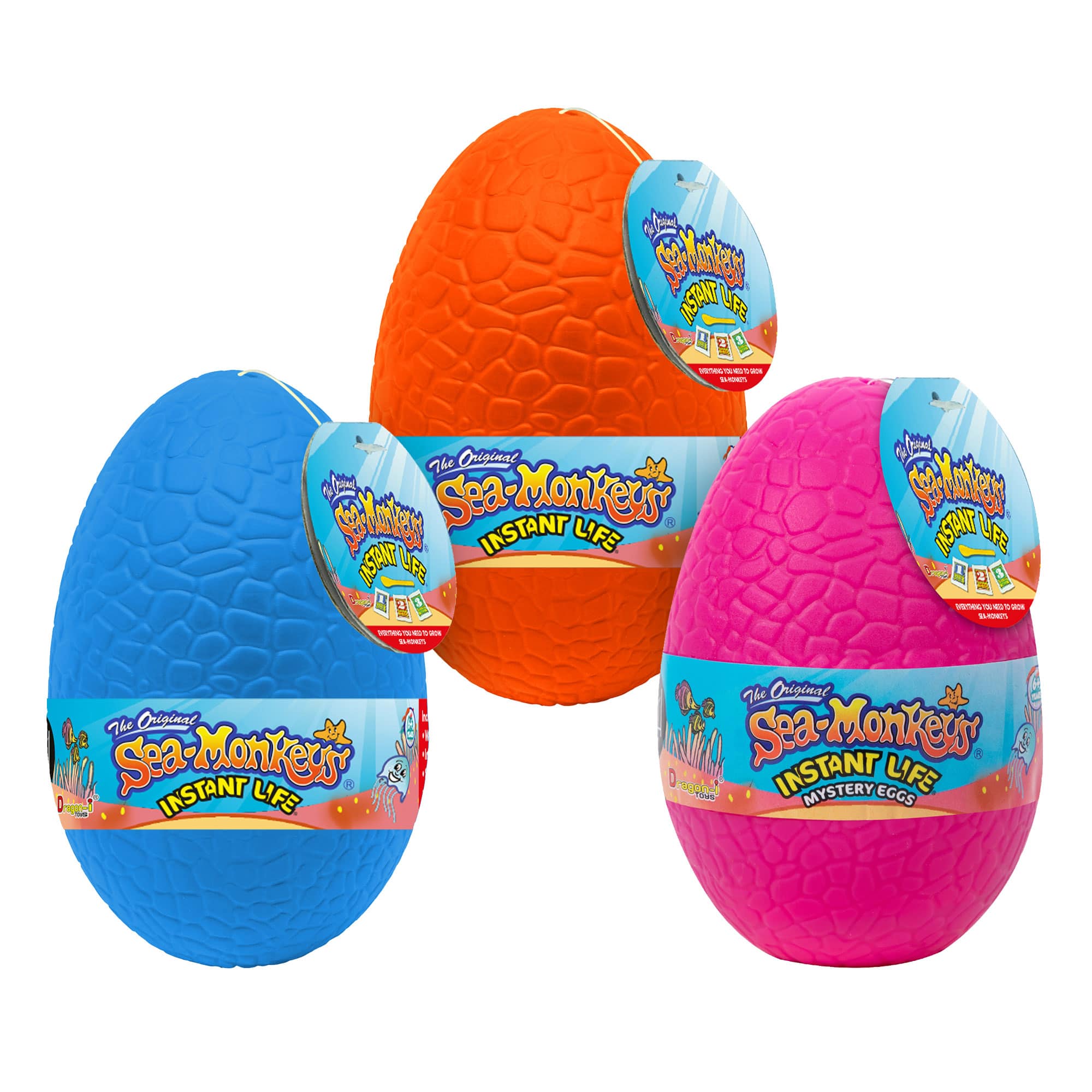 Sea Monkeys Eggs Day 2 Of Sea Monkeys Kit: Adding Live Eggs!
